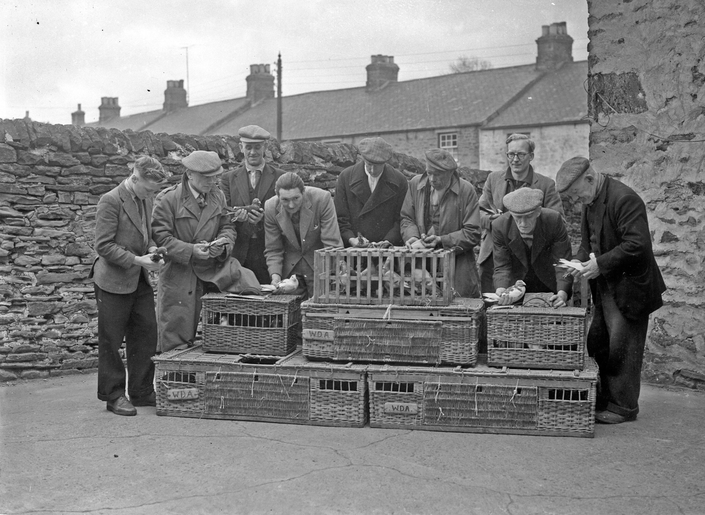 PHOTO GALLERY SPORTS – EVENWOOD RAMSHAW & DISTRICT HISTORY SOCIETY