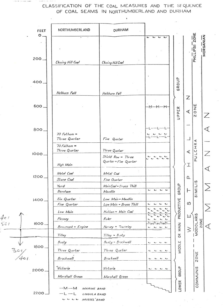 GEOLOGY, THE DURHAM COALFIELD etc. – EVENWOOD RAMSHAW & DISTRICT ...