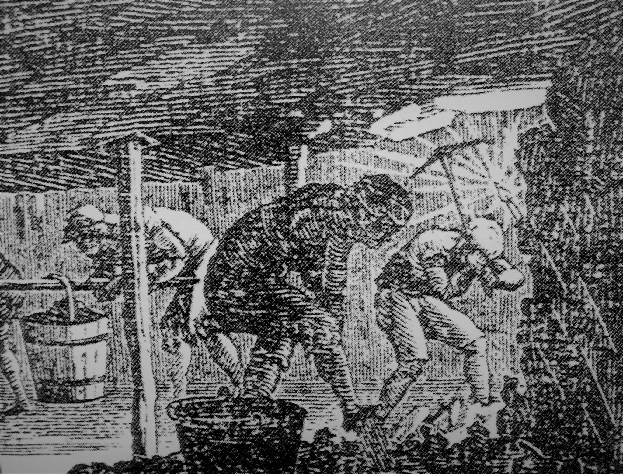 GEOLOGY, THE DURHAM COALFIELD etc. – EVENWOOD RAMSHAW & DISTRICT ...