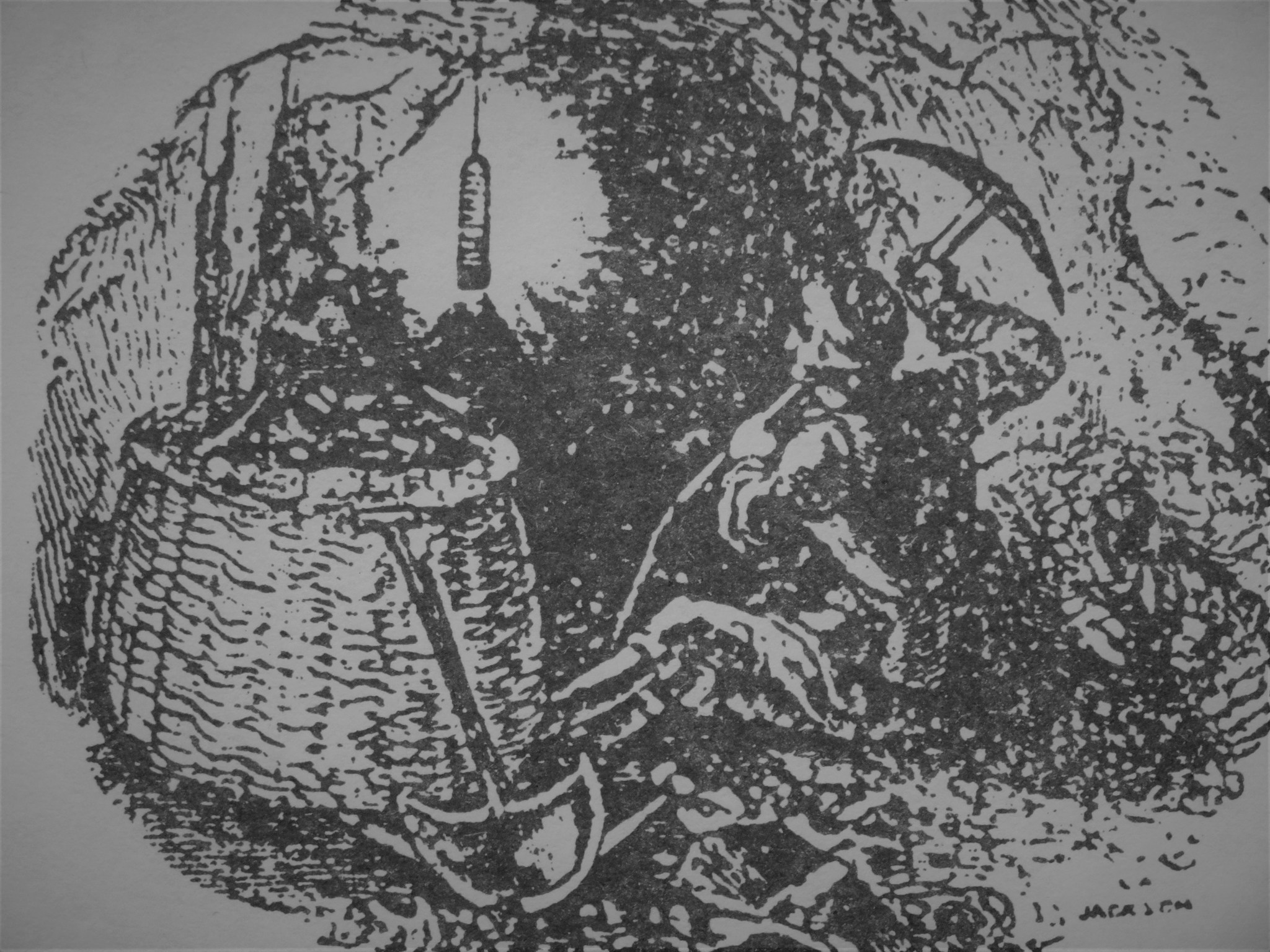 GEOLOGY, THE DURHAM COALFIELD etc. – EVENWOOD RAMSHAW & DISTRICT ...