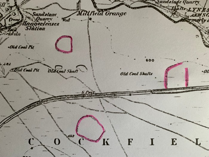 EVENWOOD IN PREHISTORIC TIMES – EVENWOOD RAMSHAW & DISTRICT HISTORY SOCIETY