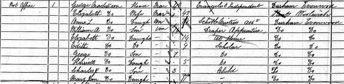 THE MADDISON FAMILY OF EVENWOOD – EVENWOOD RAMSHAW & DISTRICT HISTORY ...